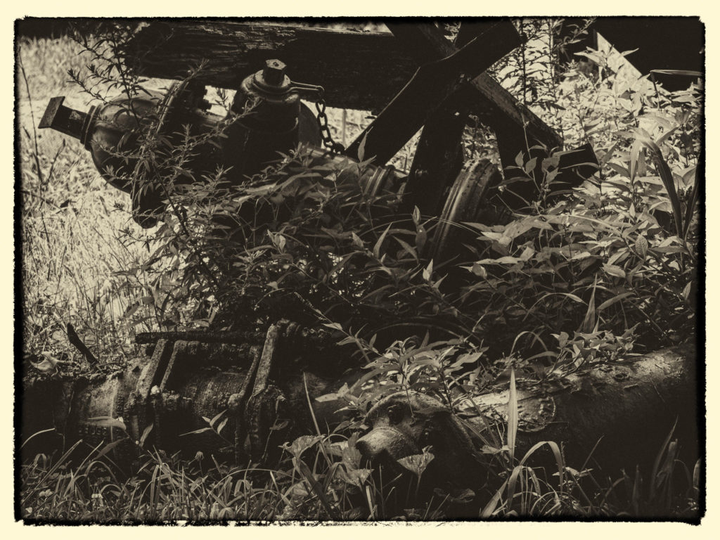 Jim Clark Gallery - Appalachia Bare