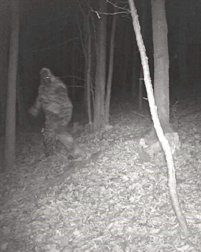 “Animals Don’t Act Like This” – Appalachia’s Folklore Creatures, Part 2 ...