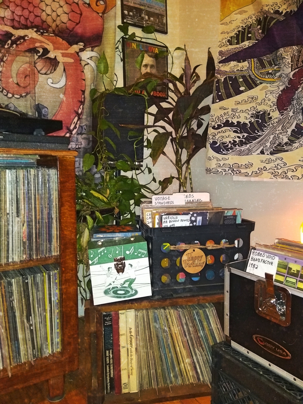 Captain Ed’s Vinyl Voyage - Appalachia Bare