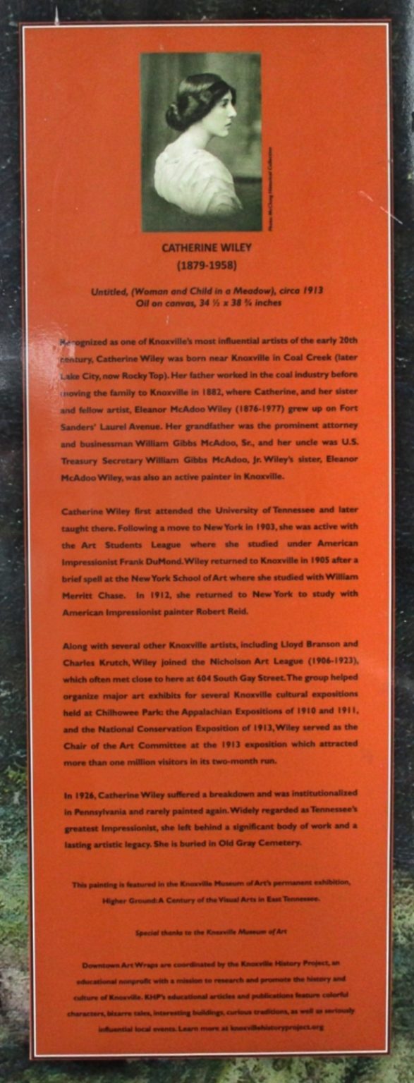 The Brilliant but Troubled Anna Catherine Wiley - Appalachia Bare