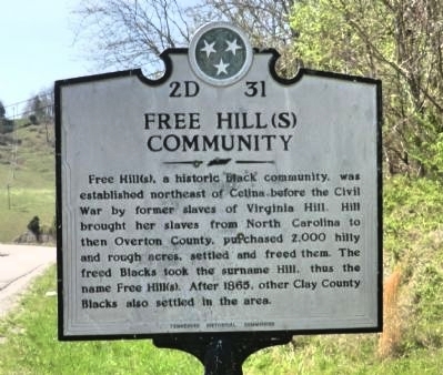 Freeing Free Hills - Appalachia Bare