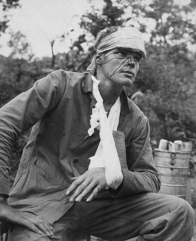The Brave: Honoring Korean War Veterans - Appalachia Bare