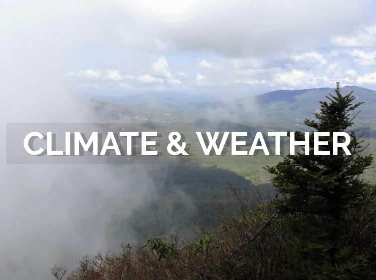 Nature - Appalachia Bare