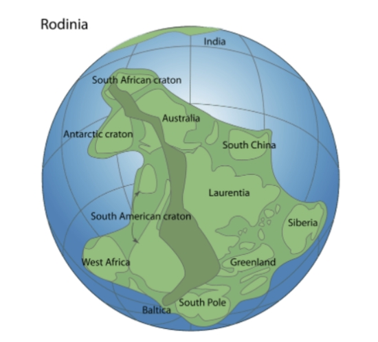 Earthlings – Part I - Appalachia Bare