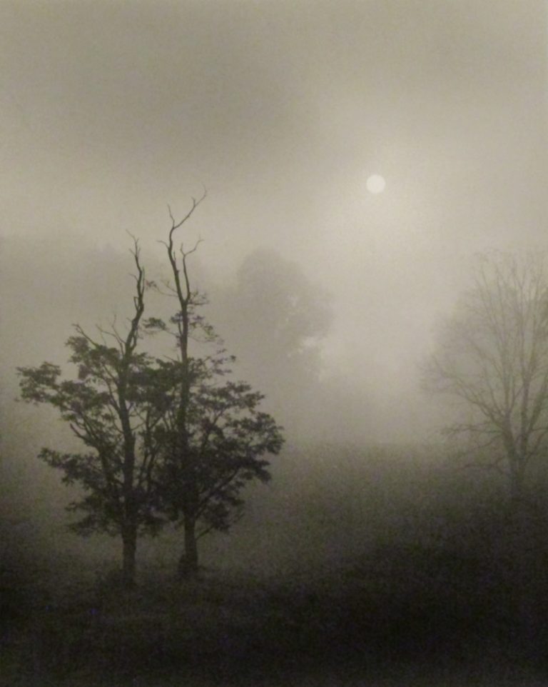 Seeing Through the Fog by Adam Miller - Appalachia Bare