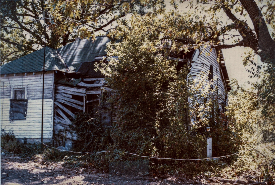 Ungovernable Mary - Appalachia Bare