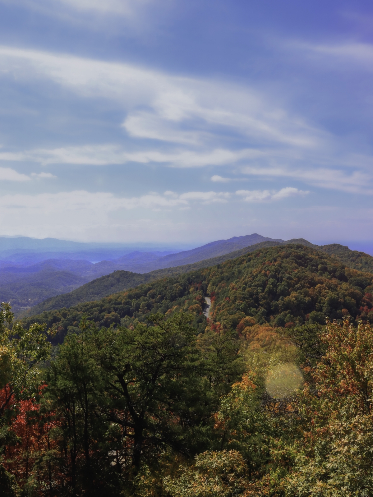Capturing Appalachia — Second Place Photograph - Appalachia Bare