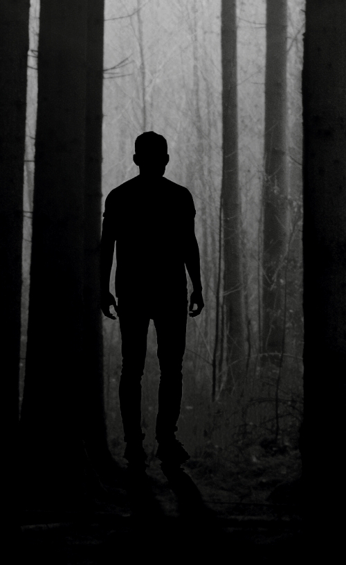 “The Complete Pitty Pat Hollow Tales” - Appalachia Bare